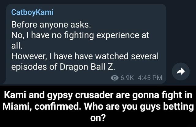 CatboyKami Before anyone asks. No, I have no fighting experience at all ...