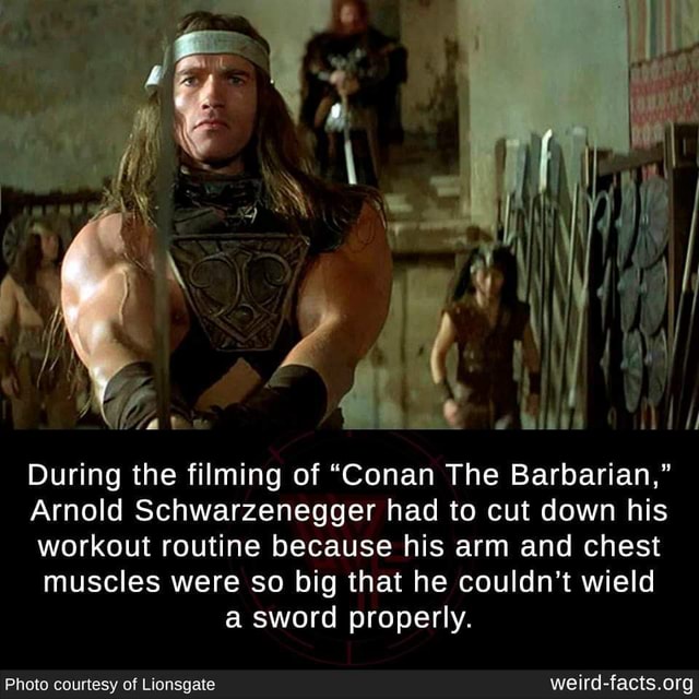 During the filming of "Conan The Barbarian," Arnold Schwarzenegger had ...