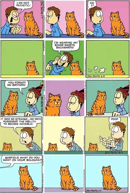 Garfield with a realistic Garfield and no dialogue - LAM NOT PATHETIC ...