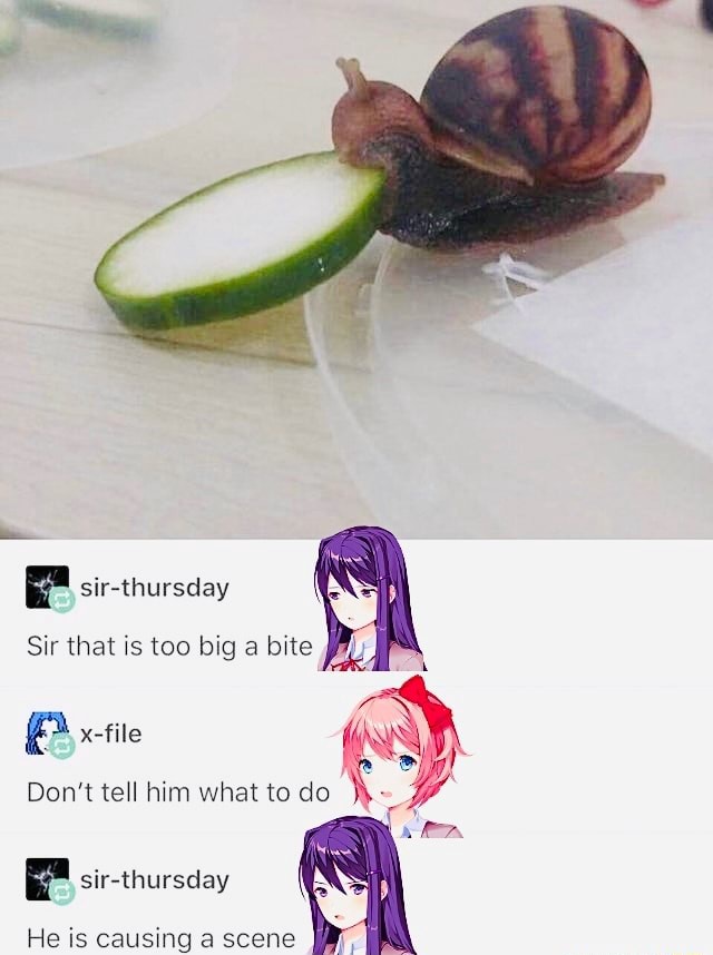 Sir-thursday Sir that is too big a bite Don't tell him what to do sir ...