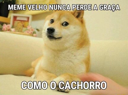 MEME VELHO NUNCA PERDE GRAÇA COMO O CACHORRO - iFunny Brazil
