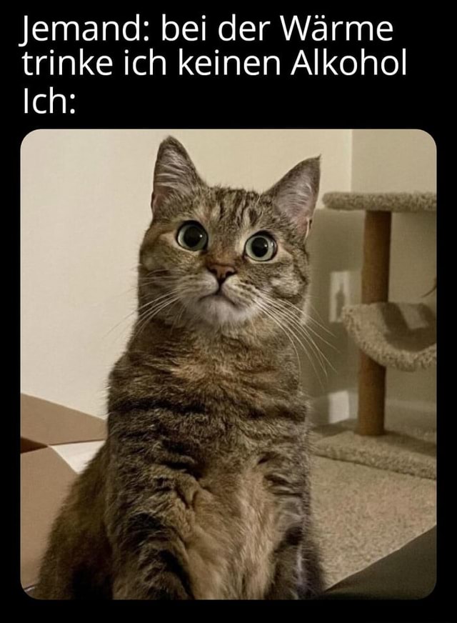 Bilder-Meme ksfm9tDbA von intent_subject_4: 1 Kommentar - Keke