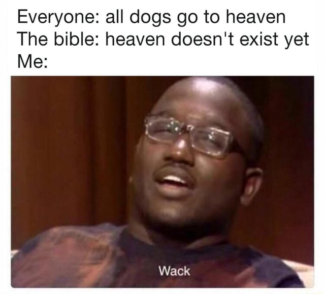 Everyone All Dogs Go To Heaven The Bible Heaven Doesn t Exist Yet Me everyone-all-dogs-go-to-heaven-the-bible-heaven-doesn-t-exist-yet-me