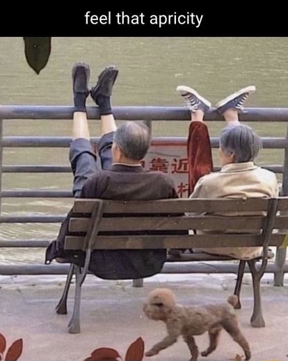 Feel that apricity - iFunny