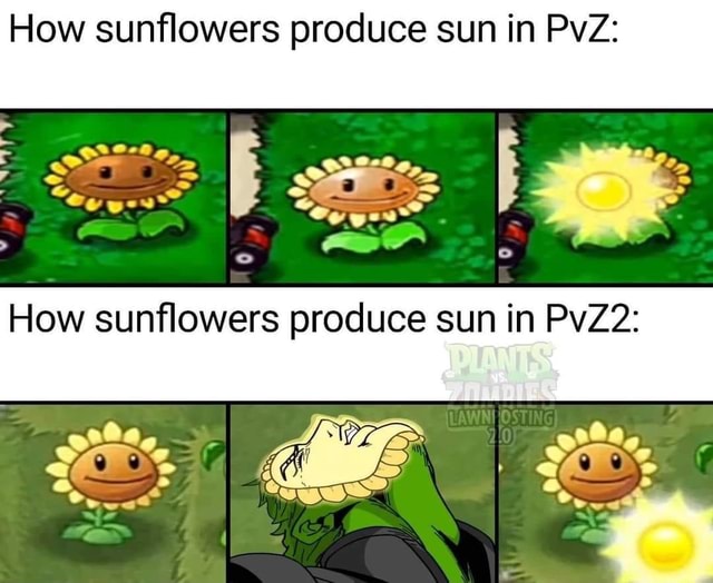 How sunflowers produce sun in PvZ: How sunflowers produce sun in PvZ2 ...