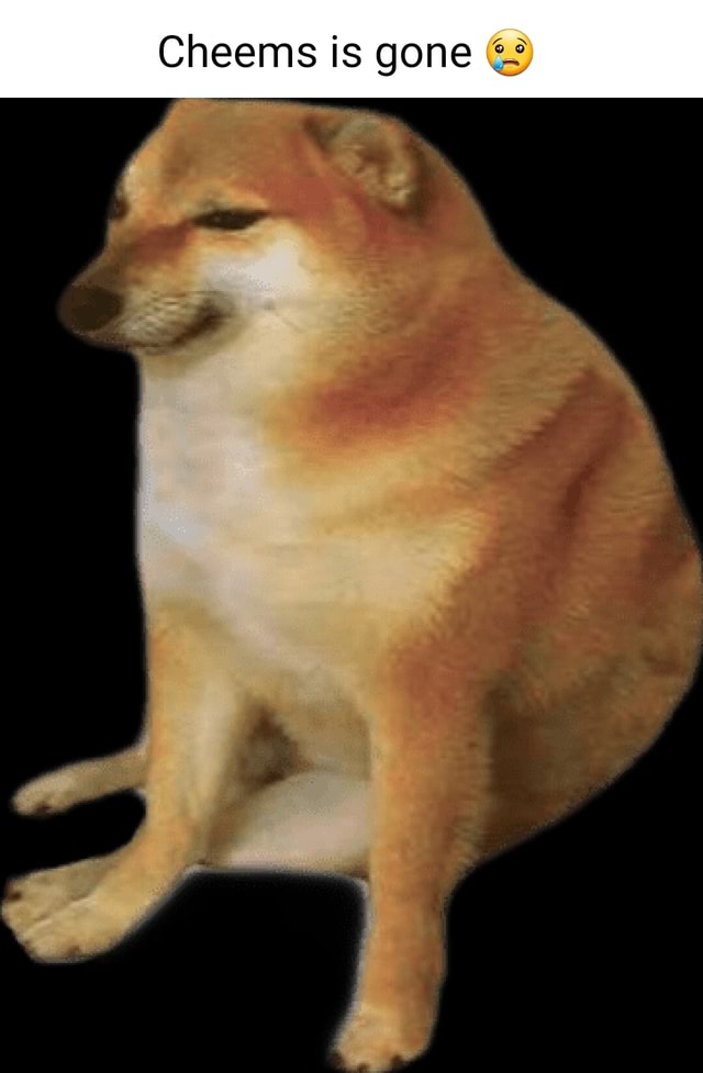 Cheems is gone - iFunny