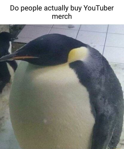 Do people actually buy YouTuber merch - iFunny