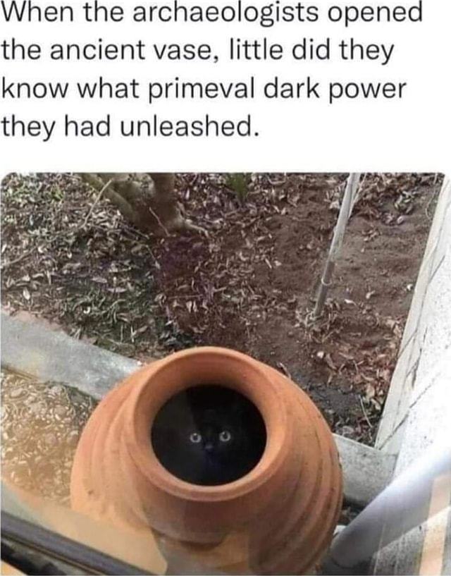 When the archaeologists opened the ancient vase, little did they know ...