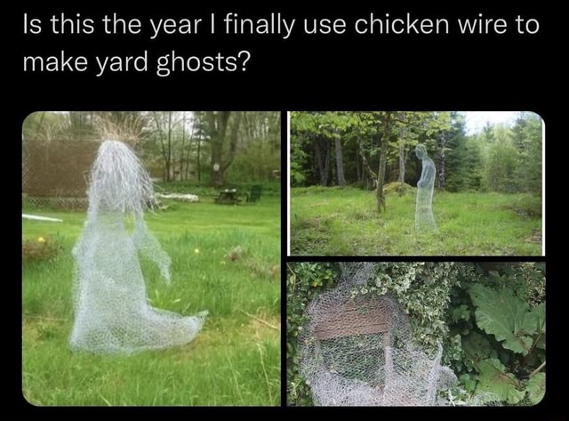 Is this the year I finally use chicken wire to make yard ghosts? - iFunny