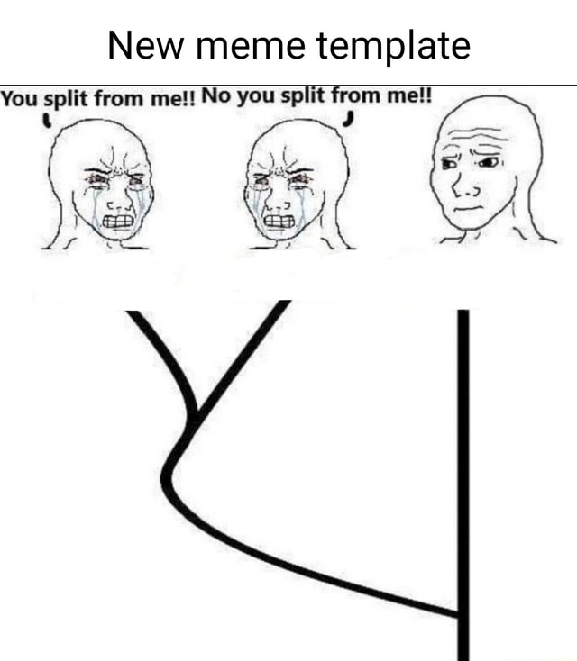 New meme template You split from me!! No you split from me!! - iFunny