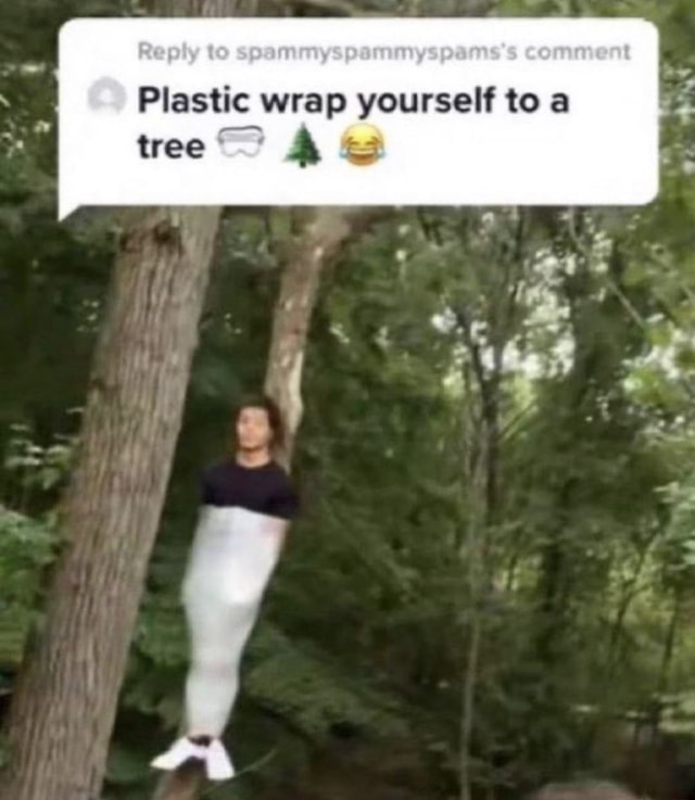 Plastic wrap yourself to a wee Au - iFunny