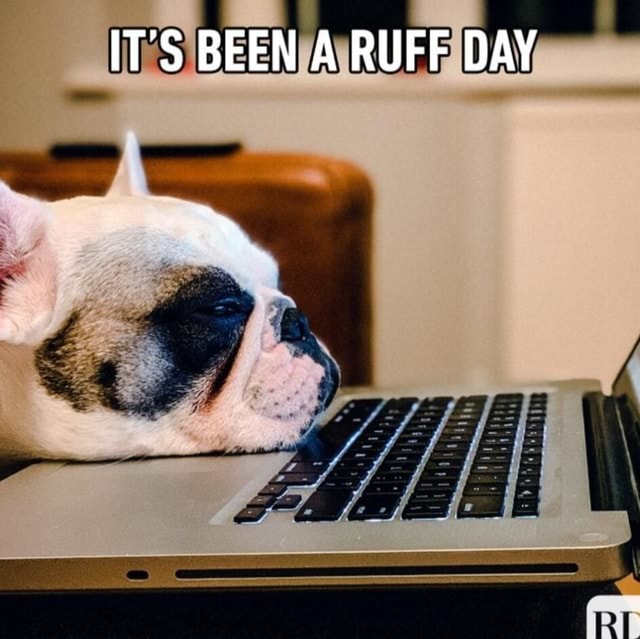 IT'S BEEN A RUFF DAY - iFunny