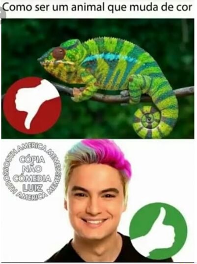 Como ser um animal que muda de cor - iFunny