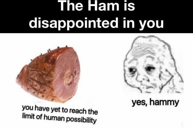The Ham ts disappointed in you yes, hammy you have yet to reach the ...