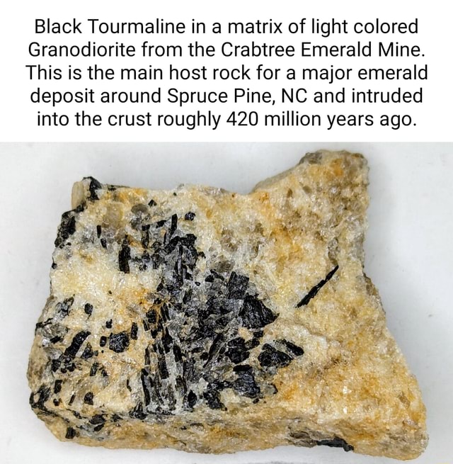 Black Tourmaline in a matrix of light colored Granodiorite from the ...