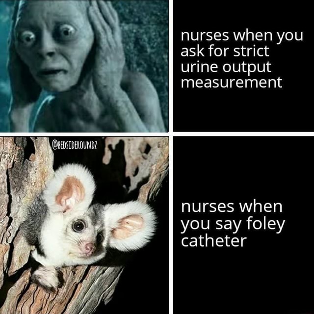 Nurses when you ask for strict urine output measurement nurses when you ...