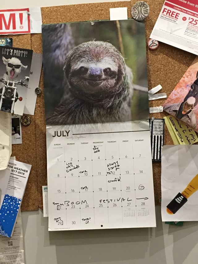 Oh hey there, sloth.... - WEDNESDAY THURSDAY 4 OM MoNoay TUESDAY - iFunny