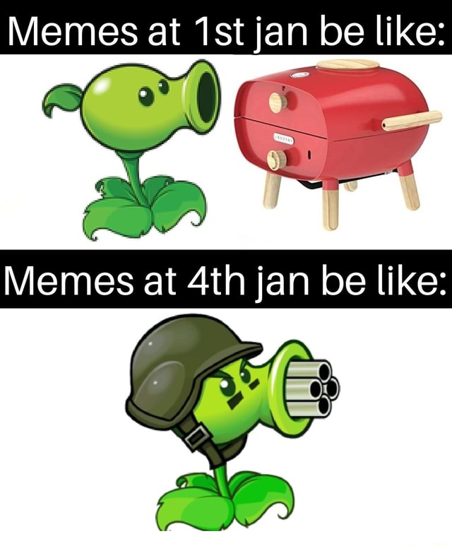 Memes at 1st jan be like: - iFunny