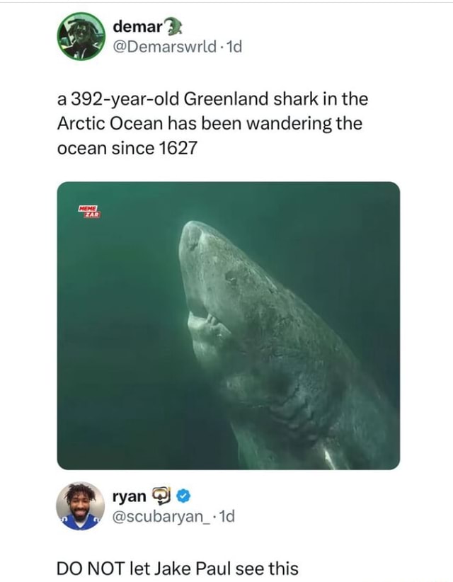 A 392-year-old Greenland shark in the Arctic Ocean has been wandering ...