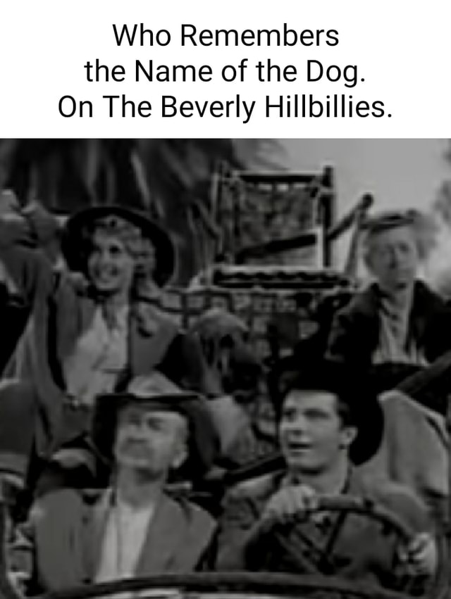 Who Remembers the Name of the Dog. On The Beverly Hillbillies ...