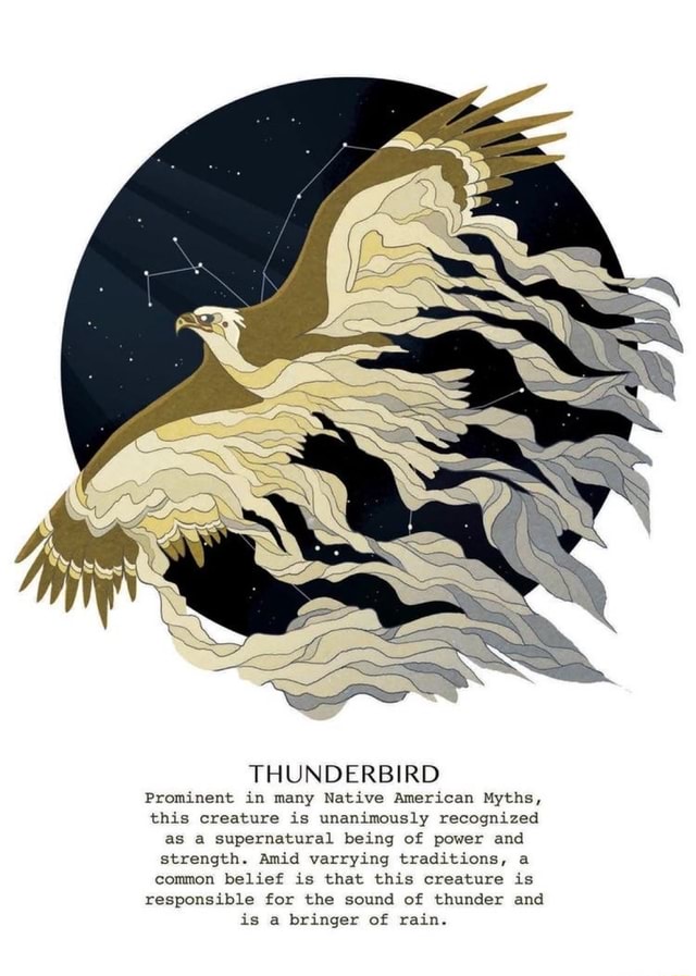 THUNDERBIRD Prominent in many Native American Myths, this creature is ...