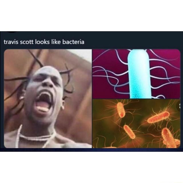 Travis scott looks like bacteria - iFunny