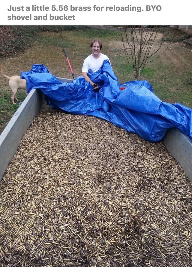 Just a little 5.56 brass for reloading. BYO shovel and bucket ye ...