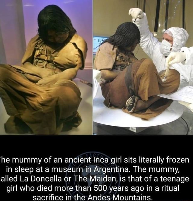 He Mummy Of An Ancient Inca Girl Sits Literally Frozen In Sleep At Museum In Argentina The