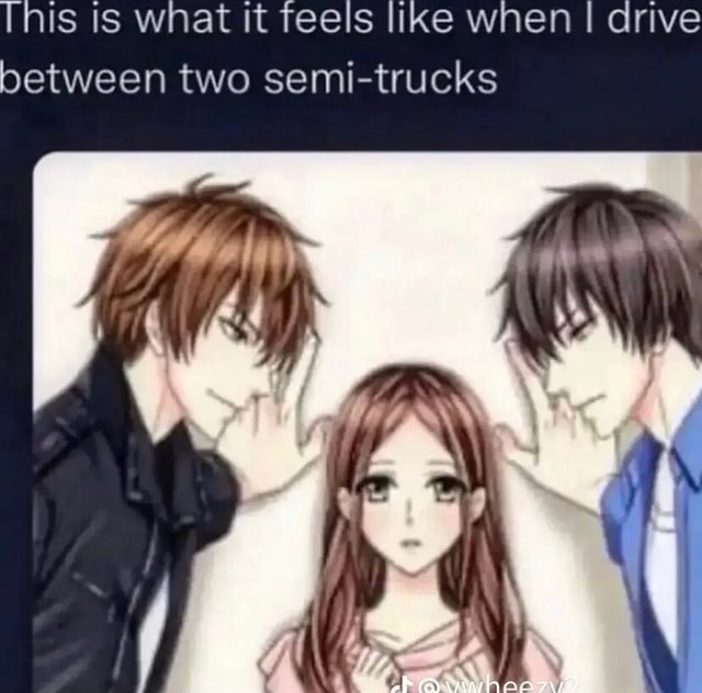 This is wnat it feels like when I drive between two semi-trucks I I OR ...