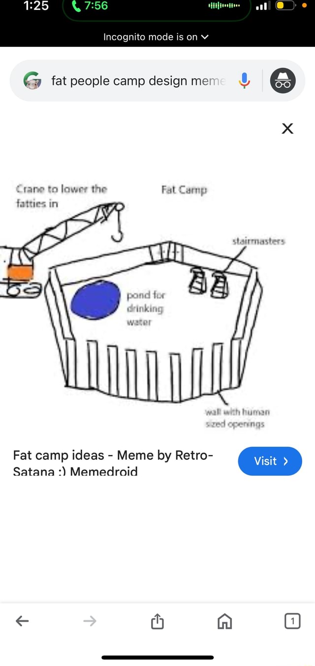 Incognito mode is on v 25 G fat people camp design me: Crane to lower ...