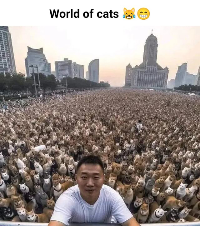 World of cats - America’s best pics and videos