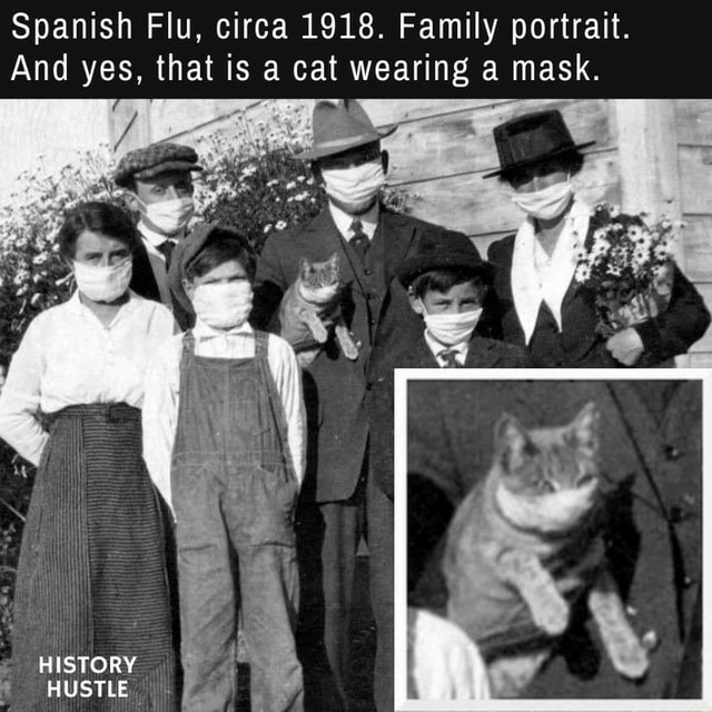 Spanish Flu, circa 1918. Family portrait. And yes, that is a cat ...