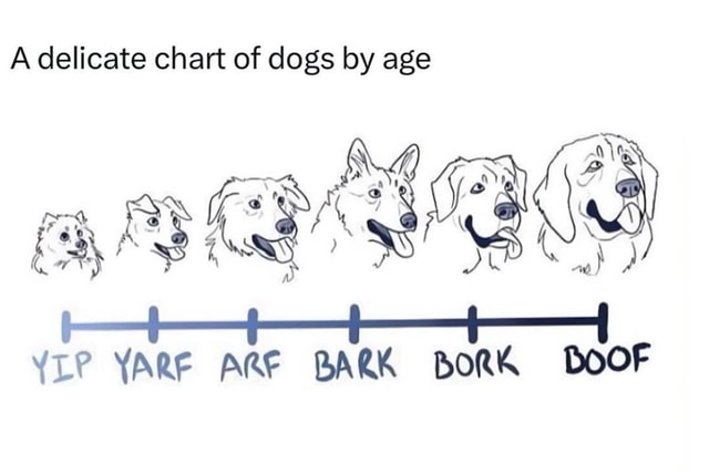A delicate chart of dogs by age as cs YEP YARE ARE BARK BORK BOOF - iFunny