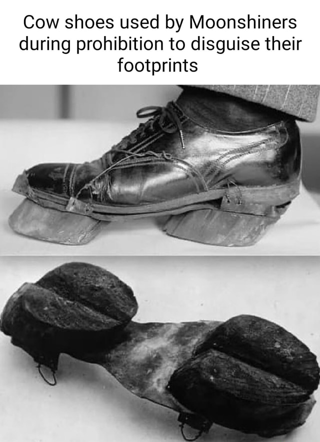 Cow shoes used by Moonshiners during prohibition to disguise their ...