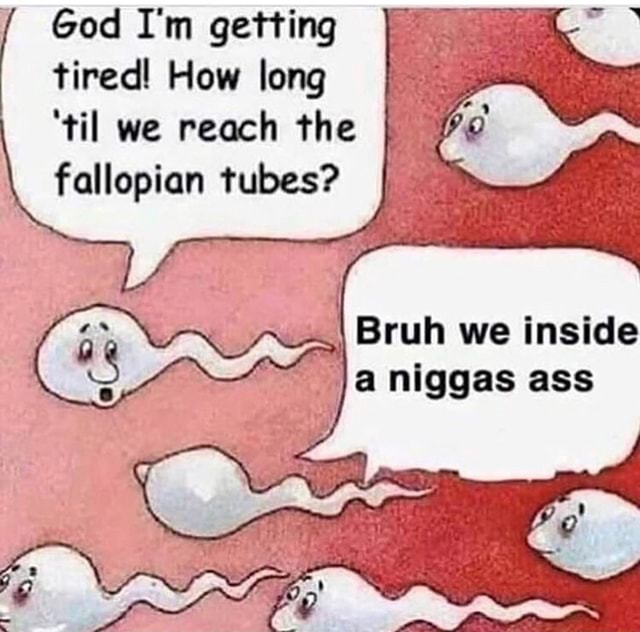 Tired! How long 'til we reach the I \ fallopian tubes? I God I'm ...