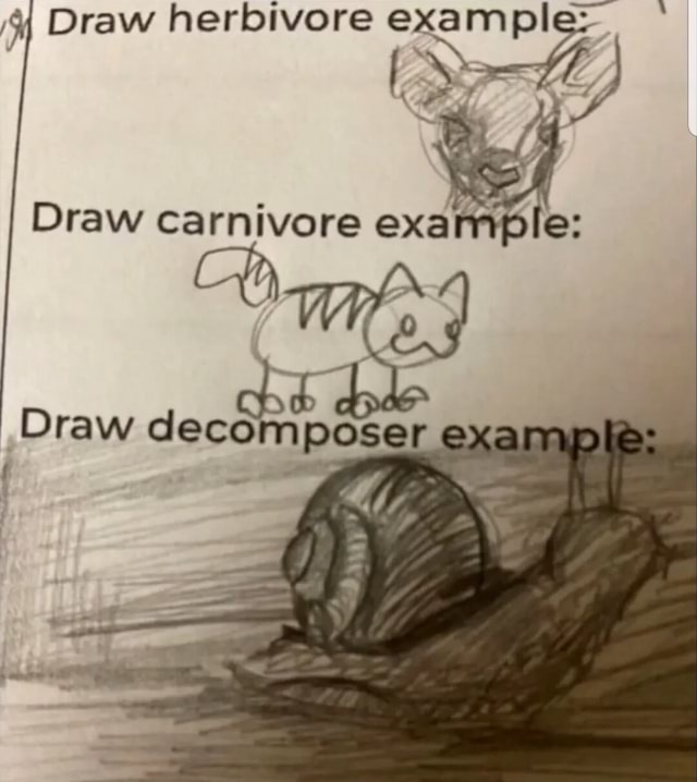 Draw herbivore example; Draw Carnivore example: Draw decompose AM - iFunny