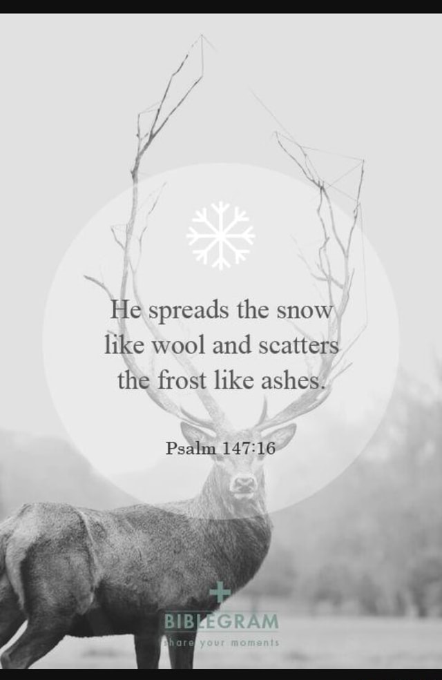 He spreads the snow like wool and scatters the frost like ashes. Psalm ...
