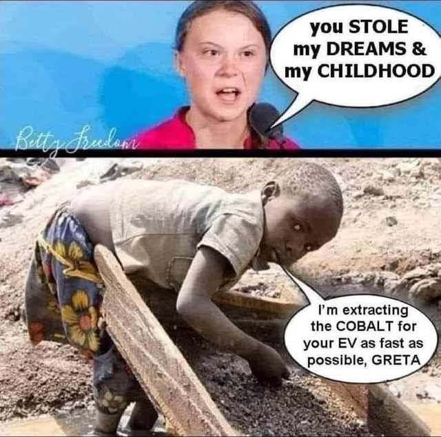 You STOLE my DREAMS & my CHILDHOOD rm extracting the COBALT for your EV as fast as possible ...