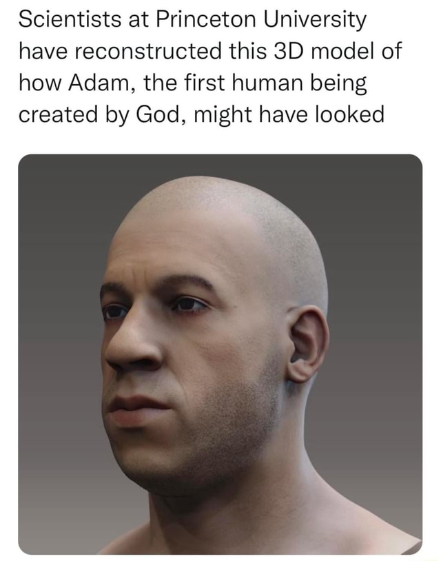 Scientists at Princeton University have reconstructed this model of how ...