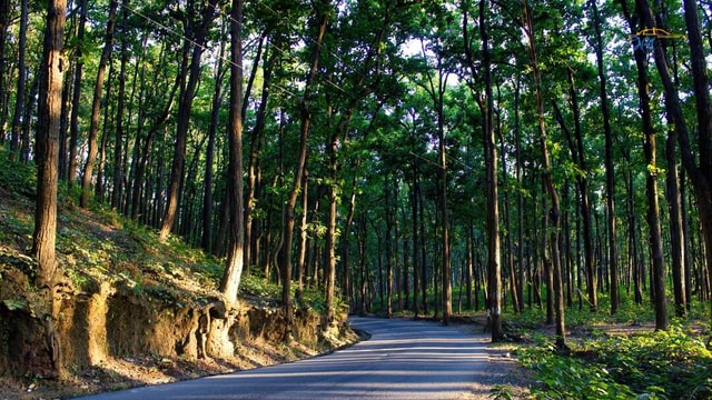 The capital of Uttarakhand, Dehradun, is a beautiful place with a great ...