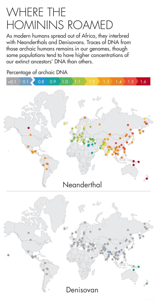 HOMININS ROAMED As modern humans spread out of Africa, they interbred ...