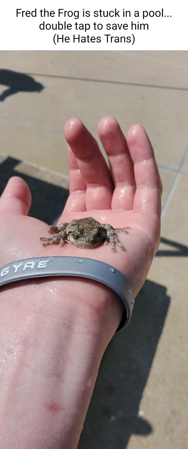 Fred the Frog is stuck in a pool... double tap to save him (He Hates ...