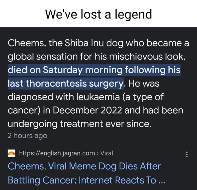 We've lost a legend Cheems, the Shiba Inu dog who became a global sensation for his mischievous ...