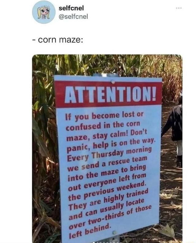 @selfenel - corn maze: ATTENTION! If you become lost or confused in the ...
