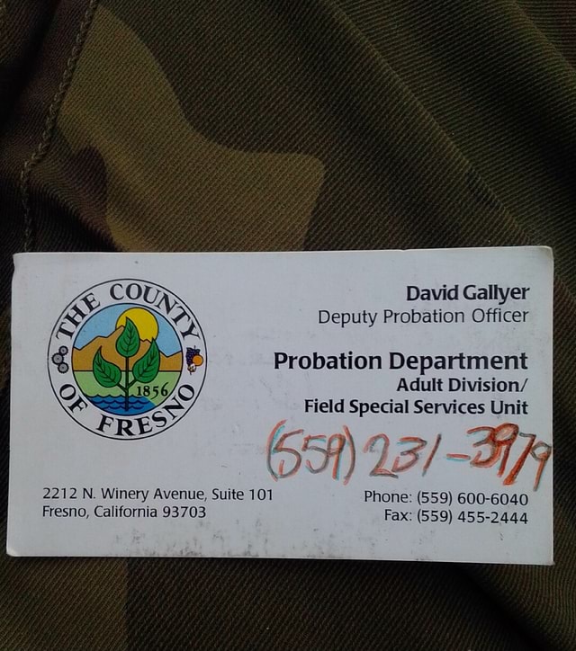 David Gallyer Deputy Probation Officer Probation Department Adult ...