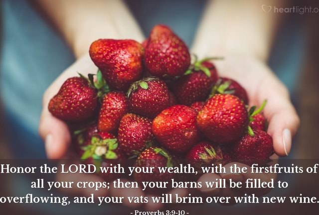 Honor the LORD with your wealth, with the firstfruits of all your crops ...