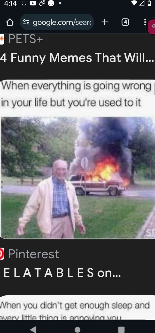 414 OQ % + @ PETS+ 4 Funny Memes That Will... When everything is going ...