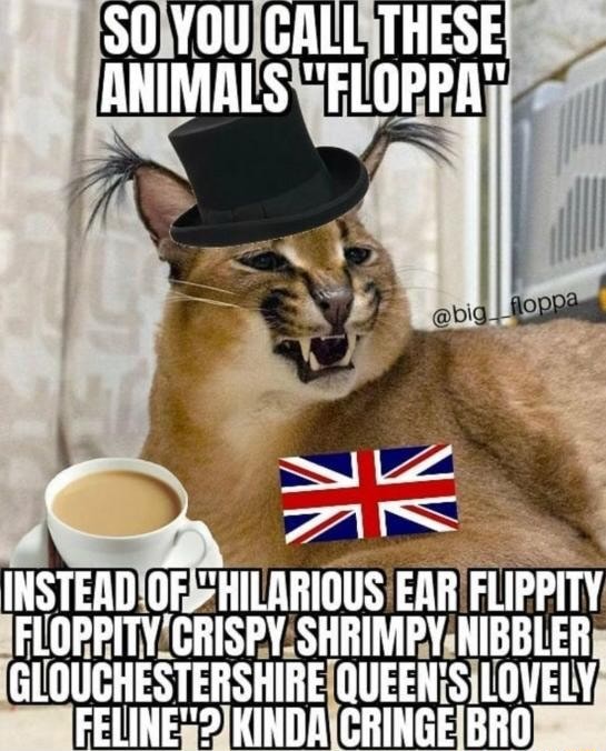 YOU CALL THESE ANIMALS "FLOPPA" 4, FAN INSTEAD OF "HILARIOUS EAR ...
