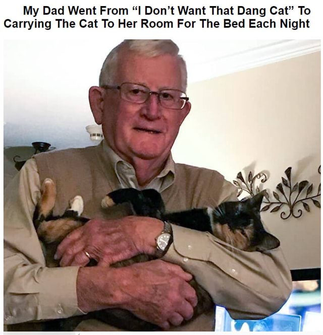 My Dad Went From Don't Want That Dang Cat" To Carrying The Cat To Her ...