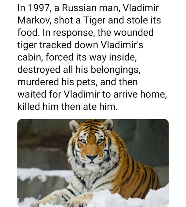 In 1997, a Russian man, Vladimir Markov, shot a Tiger and stole its ...